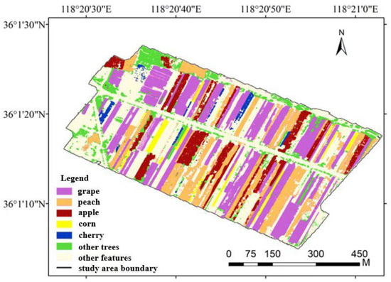 Remote Sensing | Free Full-Text | Economic Fruit Forest Classification Based on Improved U-Net ...