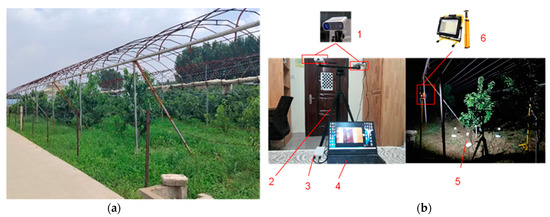 A Method for Predicting Canopy Light Distribution in Cherry Trees Based ...