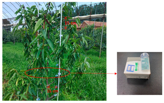 Remote Sensing | Free Full-Text | A Method for Predicting Canopy Light ...