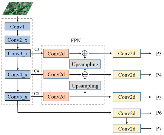 Multiscale Maize Tassel Identification Based on Improved RetinaNet ...