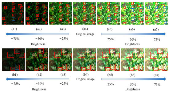 Multiscale Maize Tassel Identification Based on Improved RetinaNet Model and UAV Images