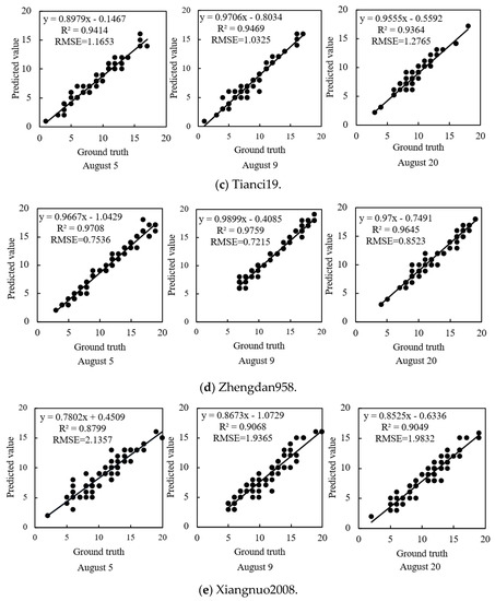 Multiscale Maize Tassel Identification Based on Improved RetinaNet Model and UAV Images