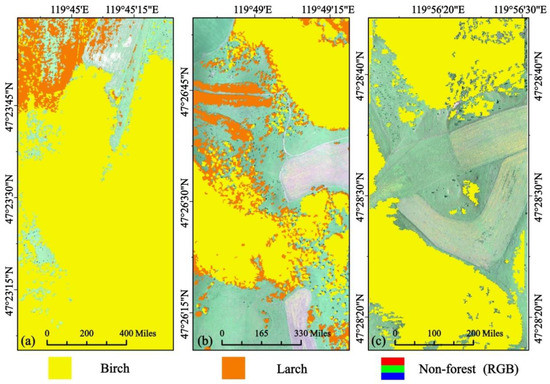 Application of Machine Learning to Tree Species Classification Using Active and Passive Remote ...