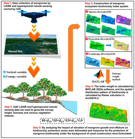 Mangrove Biodiversity Assessment Using UAV Lidar and Hyperspectral Data ...