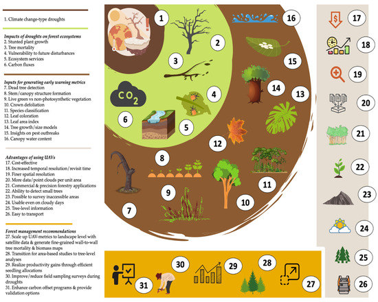 Climate-Change-Driven Droughts and Tree Mortality: Assessing the ...
