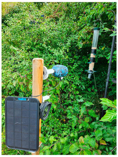 Remote Sensing | Free Full-Text | Removing Human Bottlenecks in Bird ...