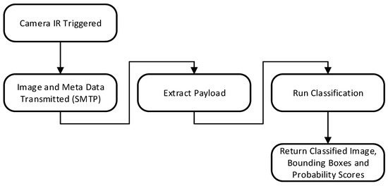 Remote Sensing | Free Full-Text | Removing Human Bottlenecks in Bird Classification Using Camera ...
