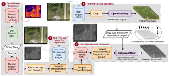 Orthomosaicking Thermal Drone Images of Forests via Simultaneously ...