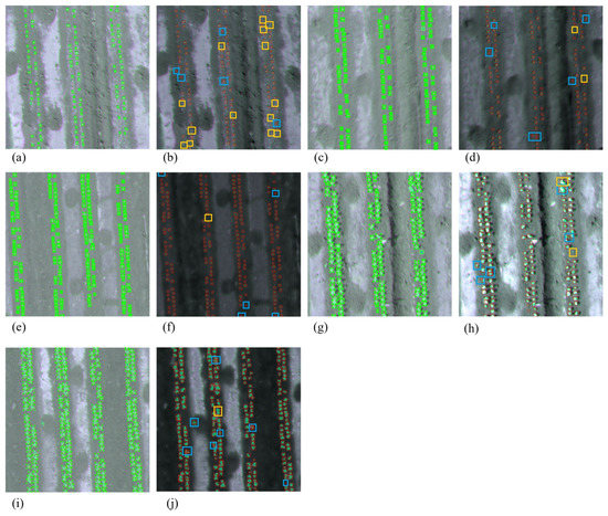 Cotton Seedling Detection and Counting Based on UAV Multispectral ...