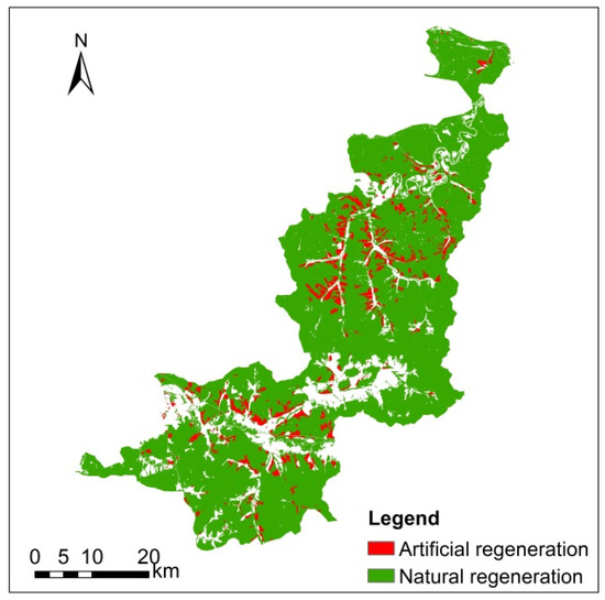 Comparison of Forest Restorations with Different Burning Severities ...