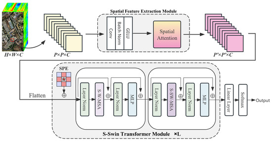 Spectral-Swin Transformer with Spatial Feature Extraction Enhancement for Hyperspectral Image ...