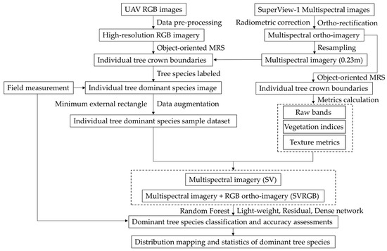 Tree Species Classification in Subtropical Natural Forests Using High-Resolution UAV RGB and ...