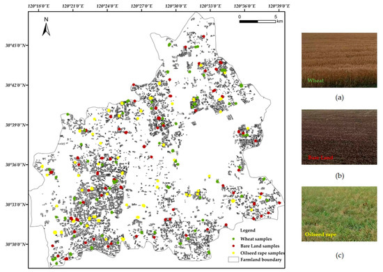 Synergy of Sentinel-1 and Sentinel-2 Imagery for Crop Classification ...