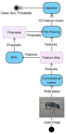 Remote Sensing | Free Full-Text | Empowering Wildlife Guardians: An ...