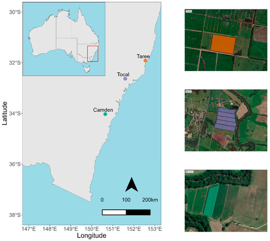 Remote Sensing | Free Full-Text | Comparison of Ground-Based, Unmanned Aerial Vehicles and ...