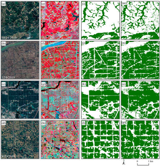 Mapping Paddy Rice Planting Area in Dongting Lake Area Combining Time ...