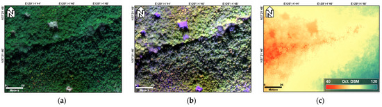 Forest Vertical Structure Mapping Using Multi Seasonal Uav Images And Lidar Data Via Modified U