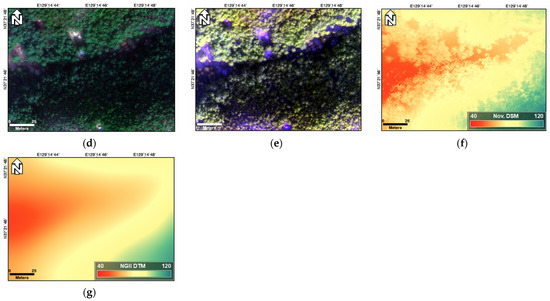 Forest Vertical Structure Mapping Using Multi Seasonal Uav Images And Lidar Data Via Modified U