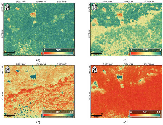 Forest Vertical Structure Mapping Using Multi Seasonal Uav Images And Lidar Data Via Modified U