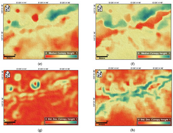 Forest Vertical Structure Mapping Using Multi Seasonal Uav Images And Lidar Data Via Modified U