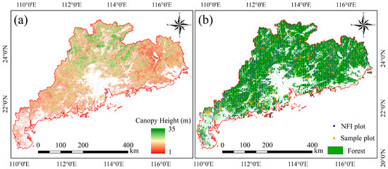 Forest Age Mapping Using Landsat Time-Series Stacks Data Based on Forest Disturbance and ...