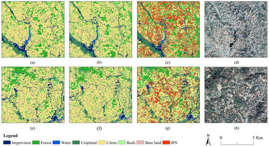 Mapping Insect-Proof Screened Citrus Orchards Using Sentinel-2 MSl Time ...
