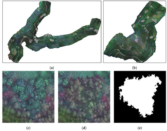 Consensus Techniques for Unsupervised Binary Change Detection Using Multi-Scale Segmentation ...