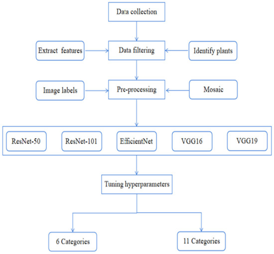 Deep-Learning-Based Rice Phenological Stage Recognition
