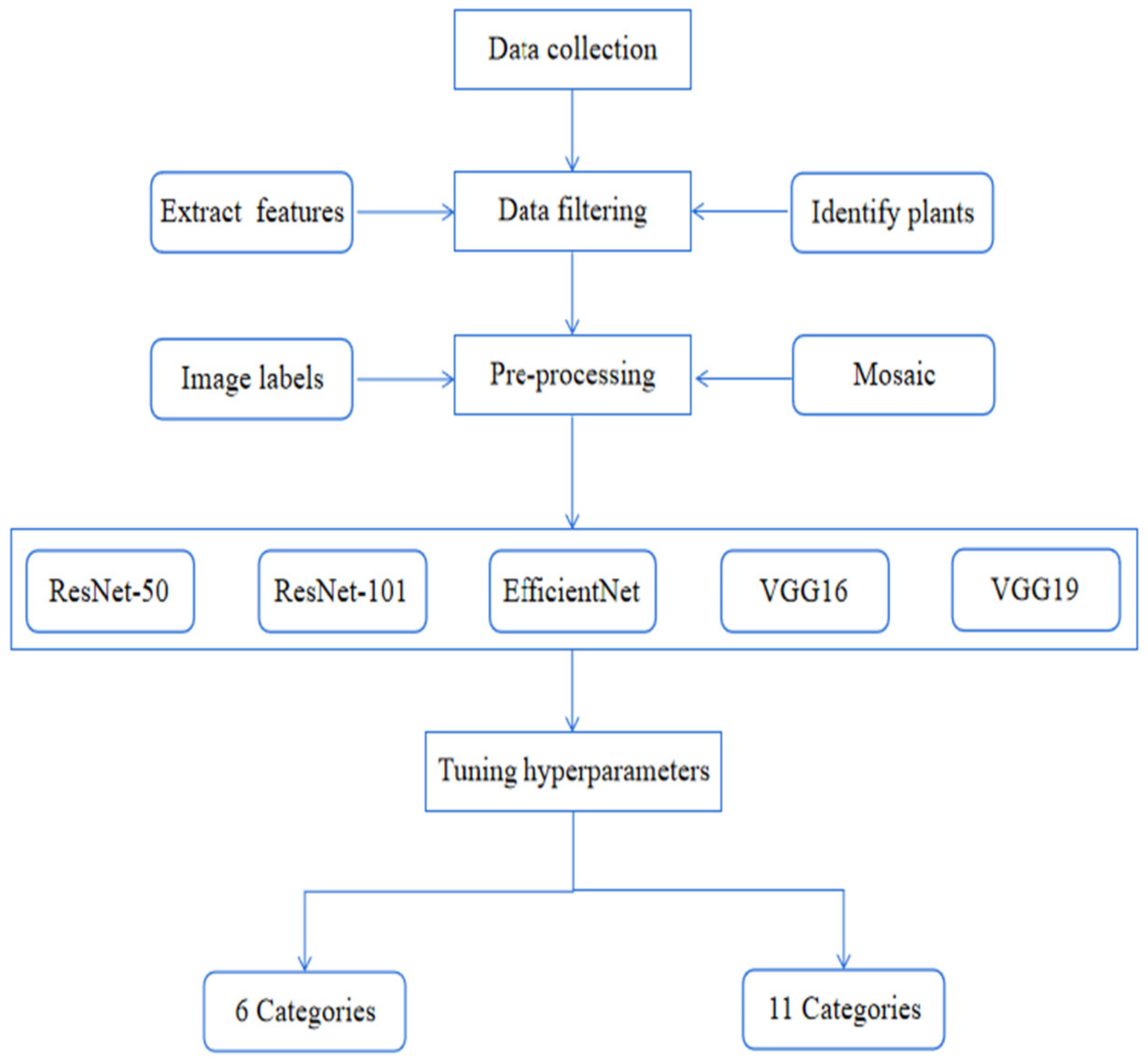Deep-Learning-Based Rice Phenological Stage Recognition