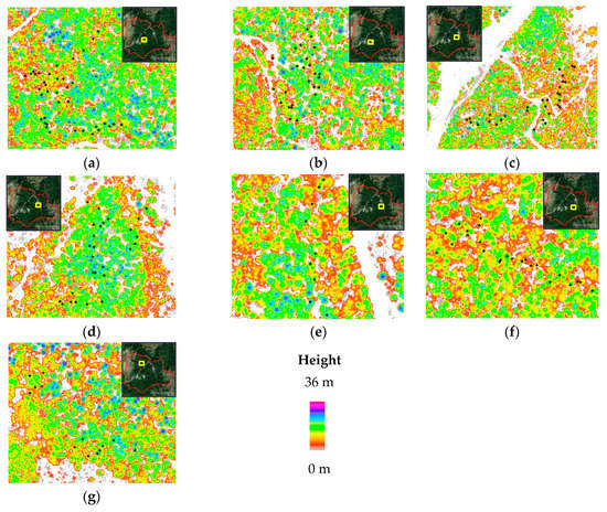 Remote Sensing | Free Full-Text | Estimating Crown Biomass in a ...