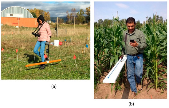 Ground-Penetrating Radar and Electromagnetic Induction: Challenges and ...