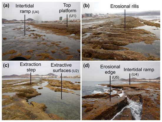 Holocene Erosional Processes in a Highly Exposed Intertidal Sandstone ...
