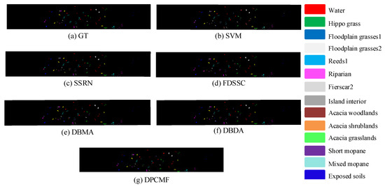 Hyperspectral Image Classification Based on Dense Pyramidal Convolution and Multi-Feature Fusion