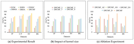 Hyperspectral Image Classification Based on Dense Pyramidal Convolution and Multi-Feature Fusion