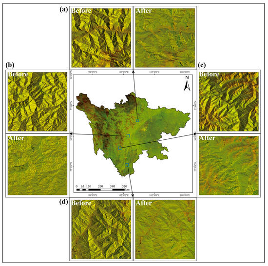 Vegetation Subtype Classification of Evergreen Broad-Leaved Forests in ...