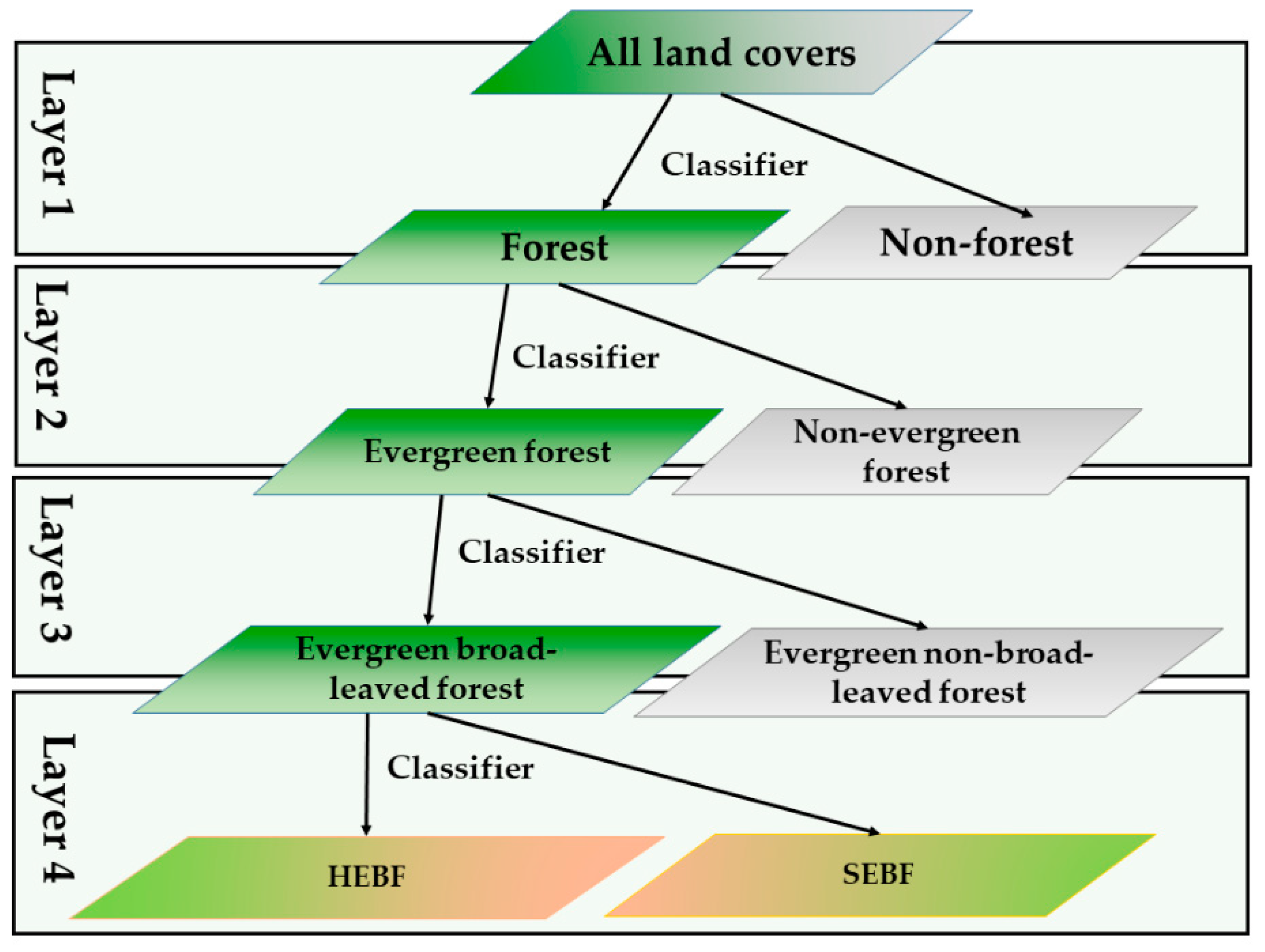 Vegetation Subtype Classification of Evergreen Broad-Leaved Forests in ...