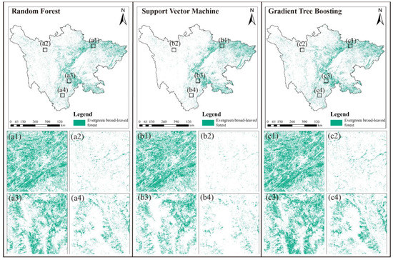 Vegetation Subtype Classification of Evergreen Broad-Leaved Forests in ...