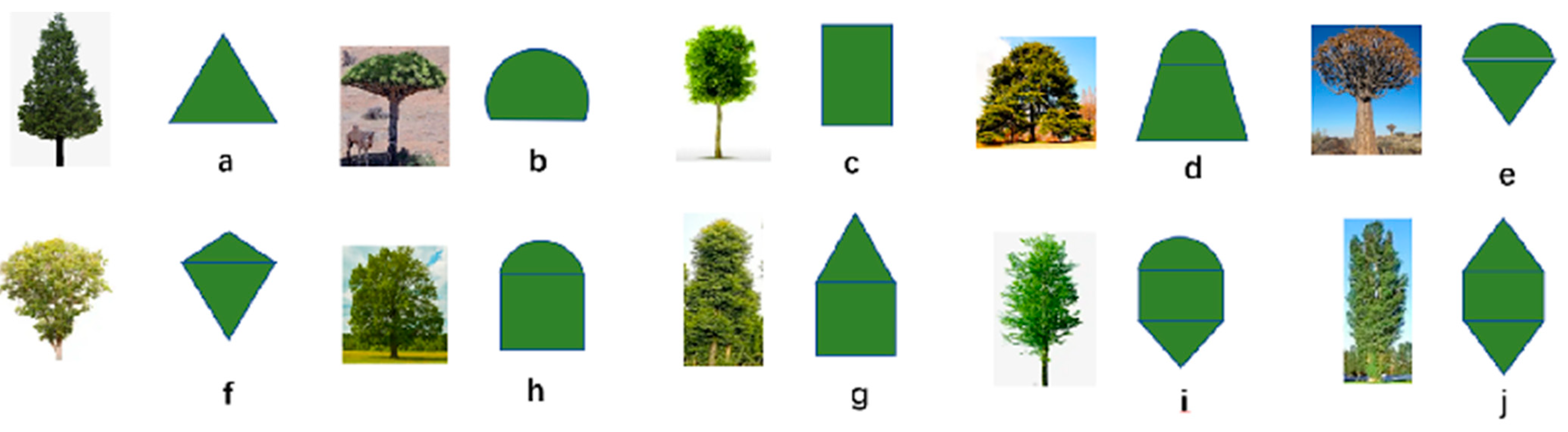 Sample Plots Forestry Parameters Verification and Updating Using Airborne LiDAR Data