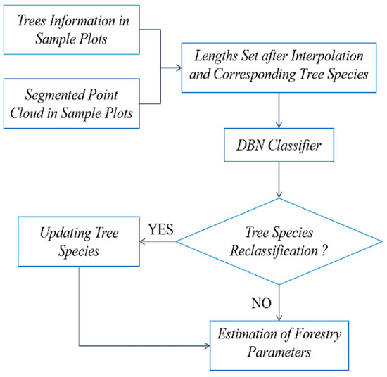 Sample Plots Forestry Parameters Verification and Updating Using ...