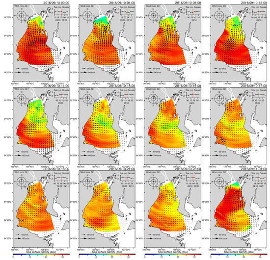 Remote Sensing | Free Full-Text | Quantitative Assessment of Sea ...