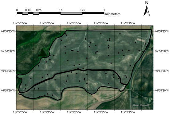 Remote-Sensing-Based Sampling Design and Prescription Mapping for Soil ...