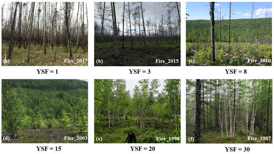 Characterizing Post-Fire Forest Structure Recovery in the Great Xing’an ...