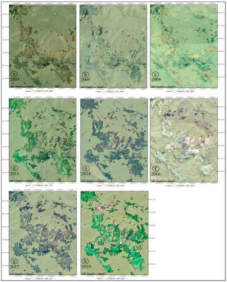 Monitoring Forest Cover Dynamics Using Orthophotos and Satellite Imagery
