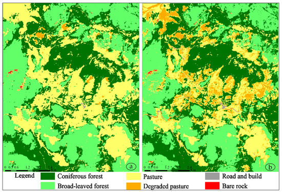 Monitoring Forest Cover Dynamics Using Orthophotos and Satellite Imagery