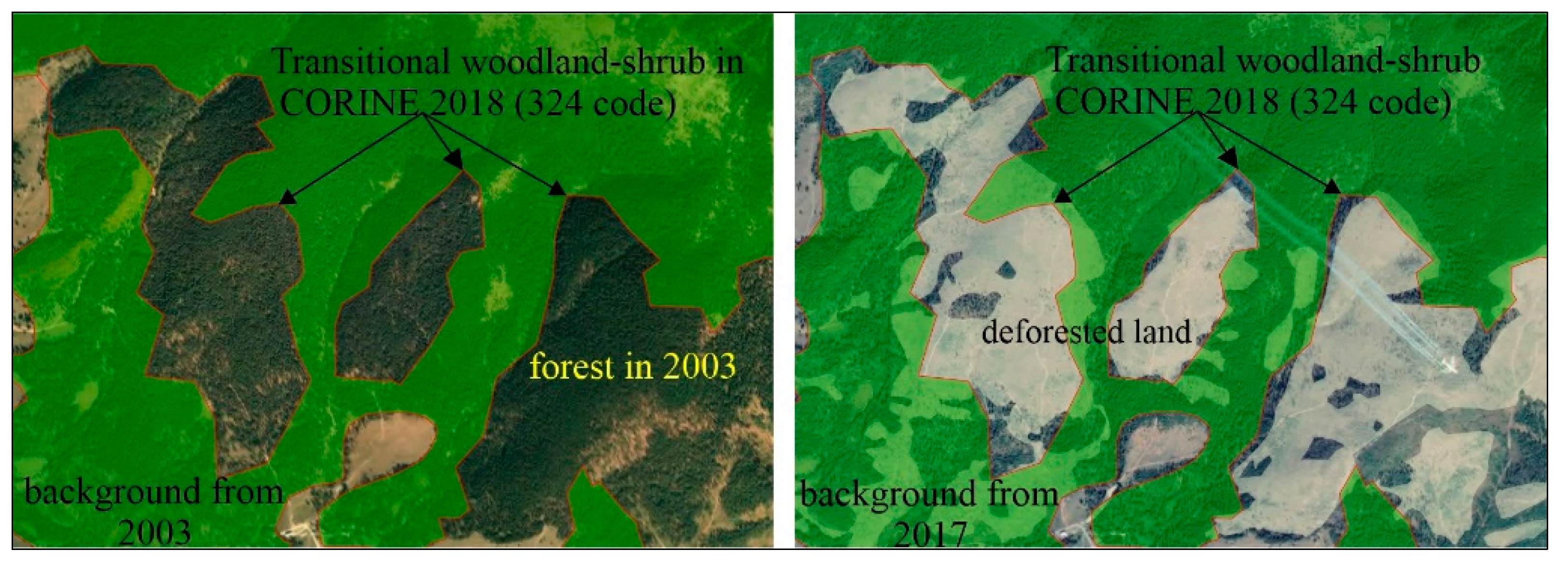 Monitoring Forest Cover Dynamics Using Orthophotos and Satellite Imagery