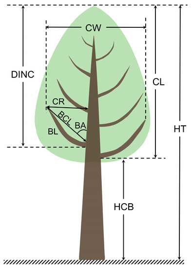 A Novel Approach to Characterizing Crown Vertical Profile Shapes Using ...