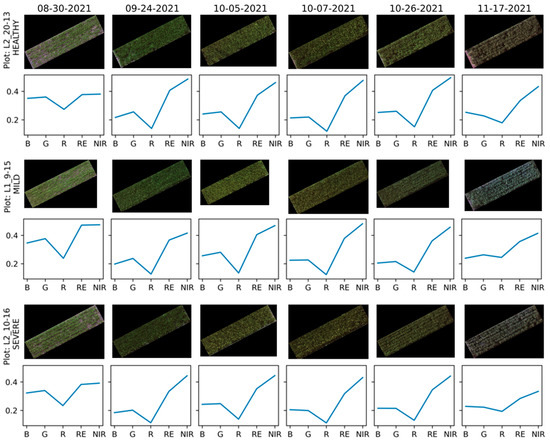 Early Detection of Wheat Yellow Rust Disease and Its Impact on Terminal Yield with Multi ...