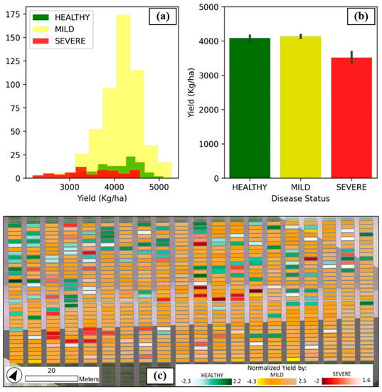 Early Detection of Wheat Yellow Rust Disease and Its Impact on Terminal Yield with Multi ...