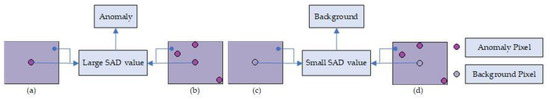 Dual-View Hyperspectral Anomaly Detection via Spatial Consistency and ...