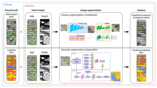Remote Sensing | Free Full-Text | Seeing the Forest for the Trees ...